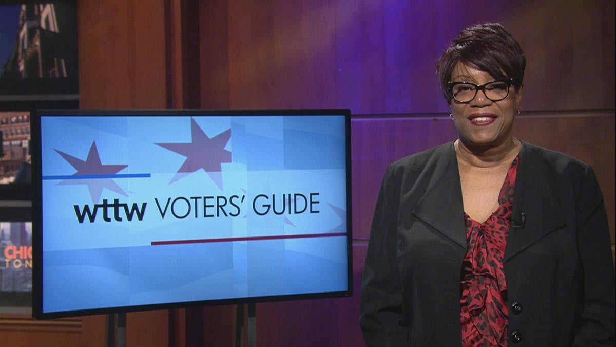 Pat Dowell | 3rd Ward Candidate for Alderman | 2019 Election Voters' Guide | WTTW